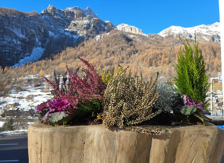 Ski-in/out @1825m | Neuf | Parking Privé - Valtournenche