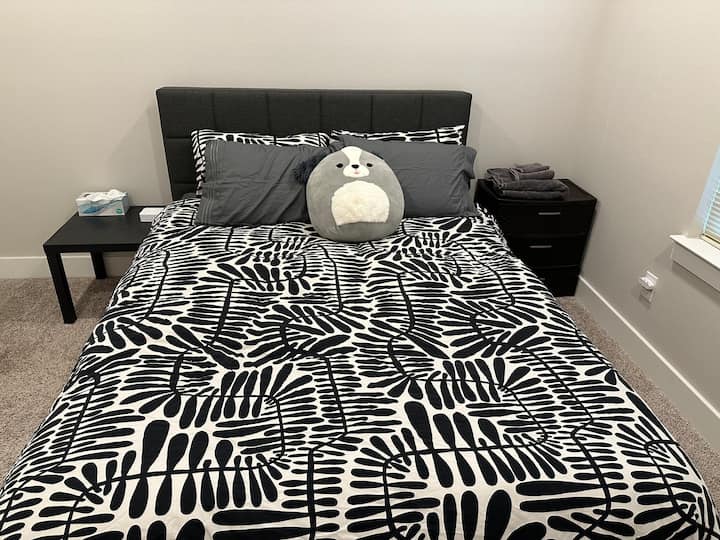 Private Room & Bathroom In Downtown Houston! - Houston, TX