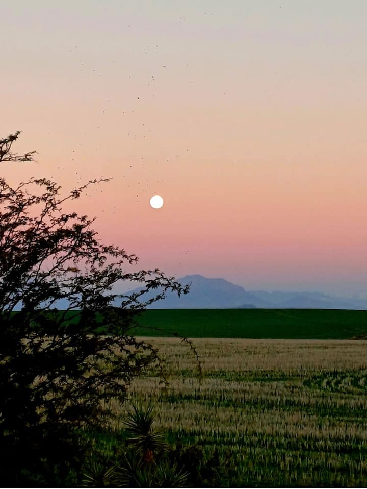 Rosemary’s Cottage - Piketberg
