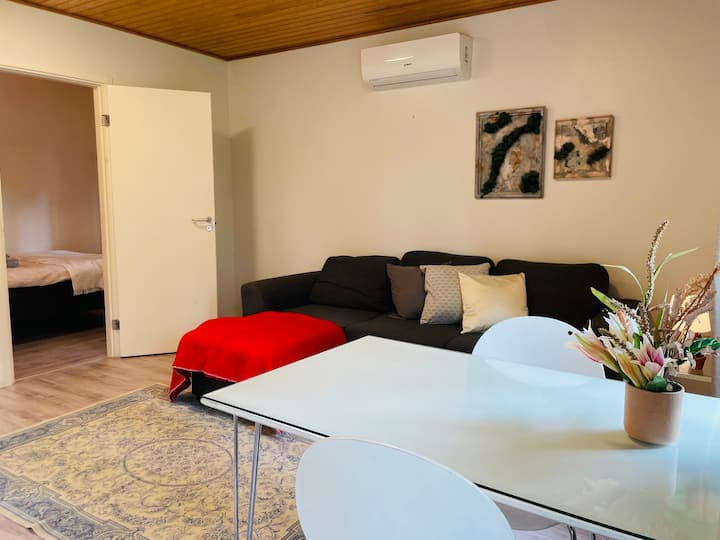 Pelkistetty Asunto. N 45m2 - Tampere