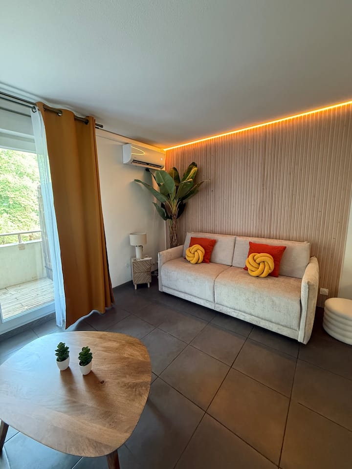 Appartement T2 Central Parc - Bordeaux