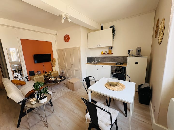 Appartement Rénové L Hypercentre L 3 Personnes - Castres