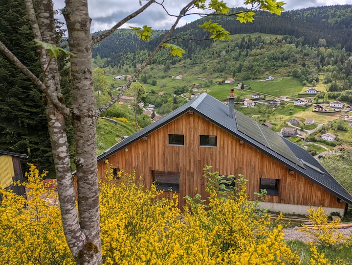 Gîte La Bresse Refait à Neuf 10-15 Personnes - Gérardmer