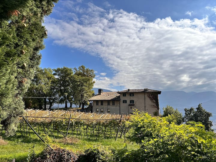Un Maso In Trentino Immerso Nel Verde - Rovereto