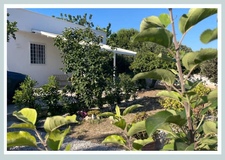 Casa Tra Gli Ulivi - Taranto