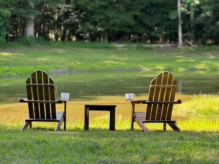 The Secret Dragonfly Pond - 德拉威爾