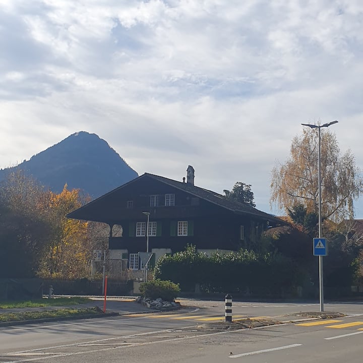 Zentralgelegene Wohnung Mit Grossem Garten - Interlaken