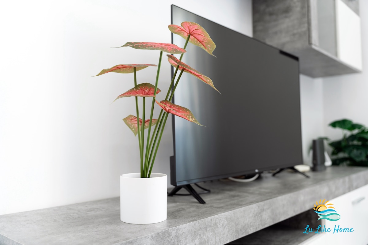 Apartamento Lali beach na praia de castelldefels - Apartamentos para ...