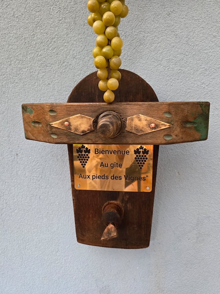 Belle Maison Alsacienne Pour 7p. - Colmar