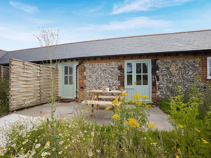 Linnet - Uk50154 - Faversham