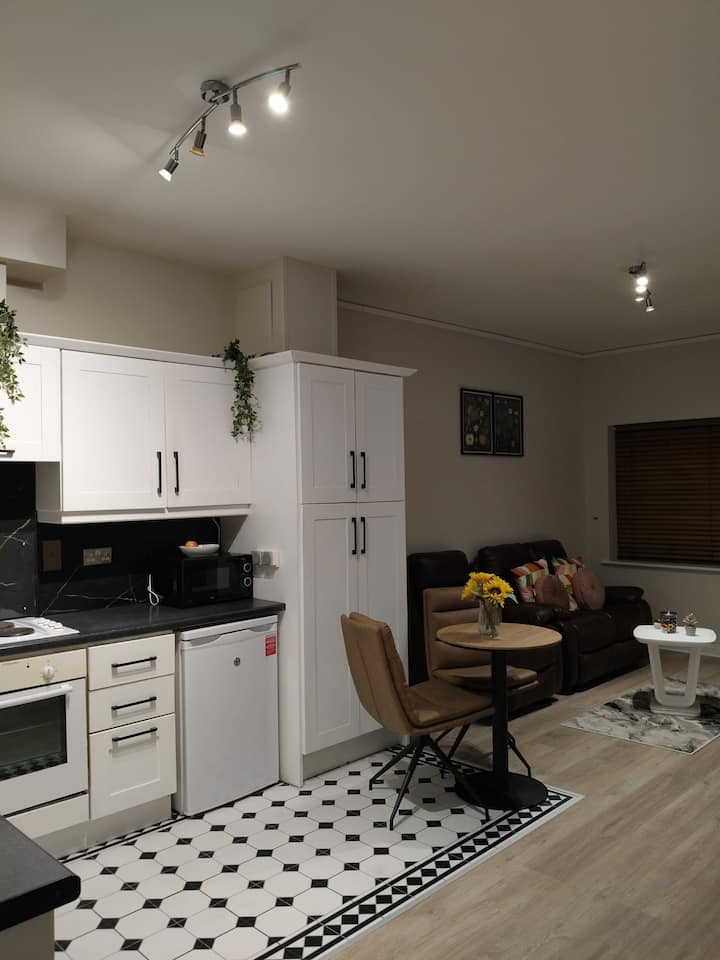 City Center Apartment - Waterford