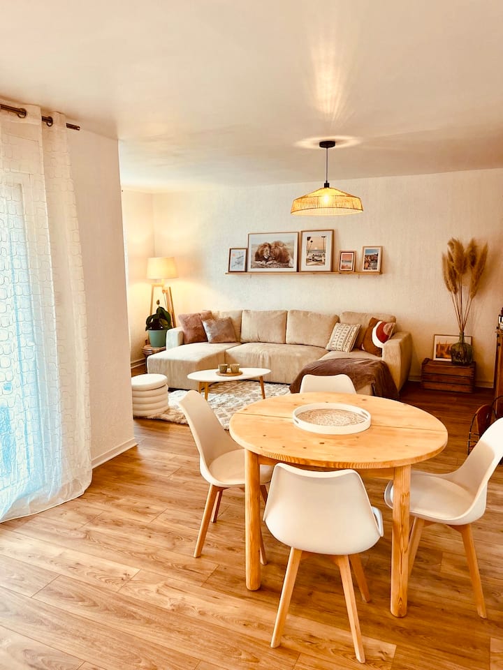 Magnifique Et Cosy Appartement - La Roche-sur-Foron