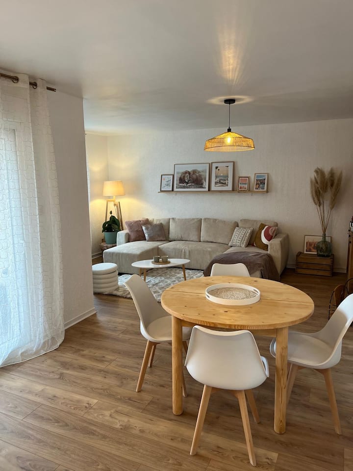 Magnifique Et Cosy Appartement - La Roche-sur-Foron