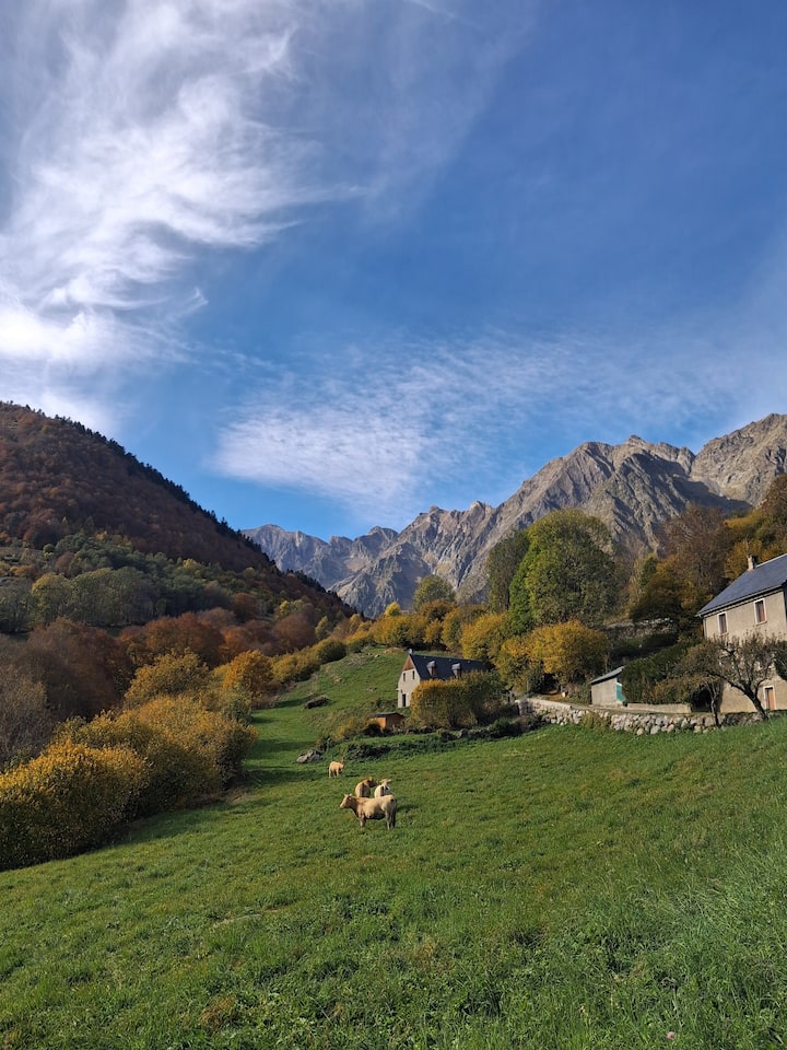 Maison Avec Une Vue Imprenable! - Saint-Lary-Soulan