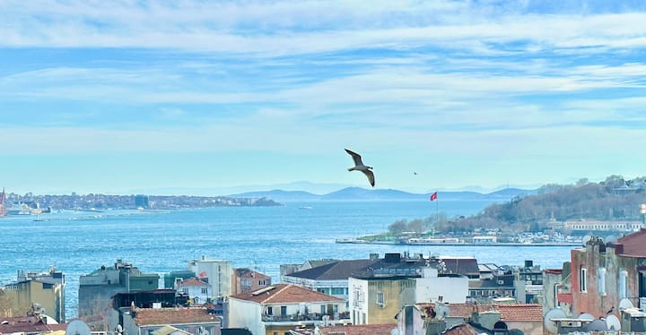 Apartment With Terrace And Wonderful Sea View - İstanbul
