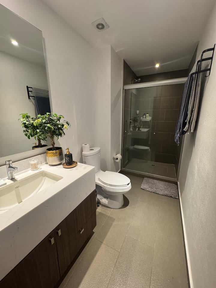 Departamento Nuevo Polanco - Mexico