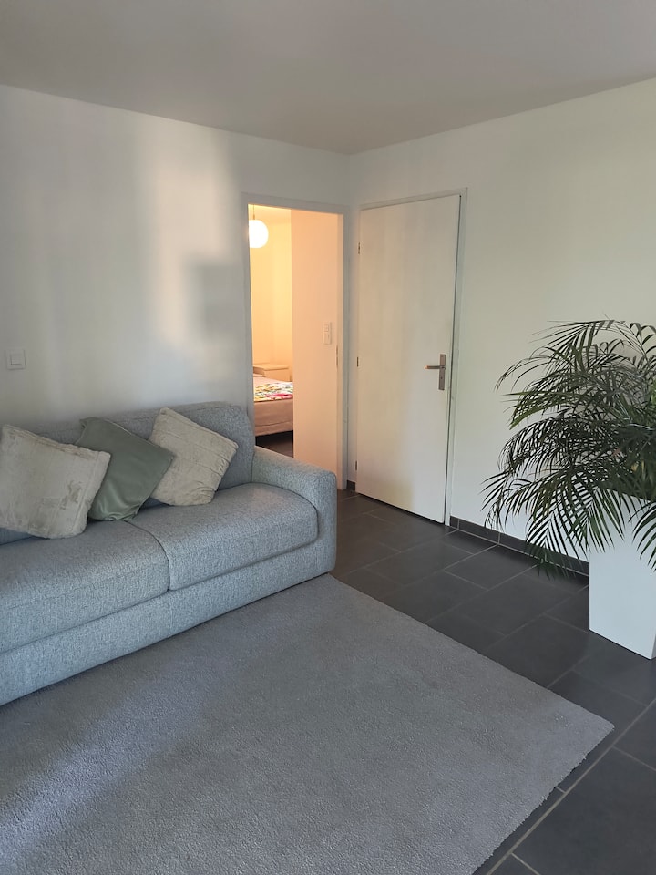 Entre Lac Et Montagne - Thonon-les-Bains