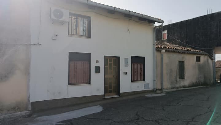 Casacircuetnea - Milo