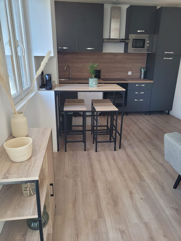Studio Cosy Aix-les-bains - Aix-les-Bains