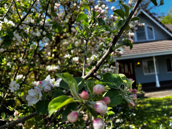 Intown Retreat - Silverdale, WA