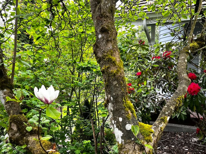 Tranquility In Town - Silverdale, WA