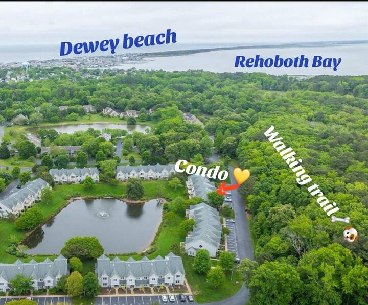 Sun, Sand & Serenity. - Dewey Beach, DE