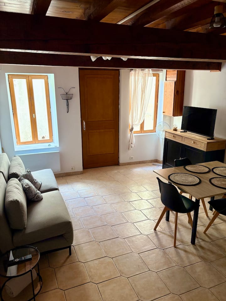 Charmante Maison - Cœur De Ville (Quai Du Port) - Castelnaudary