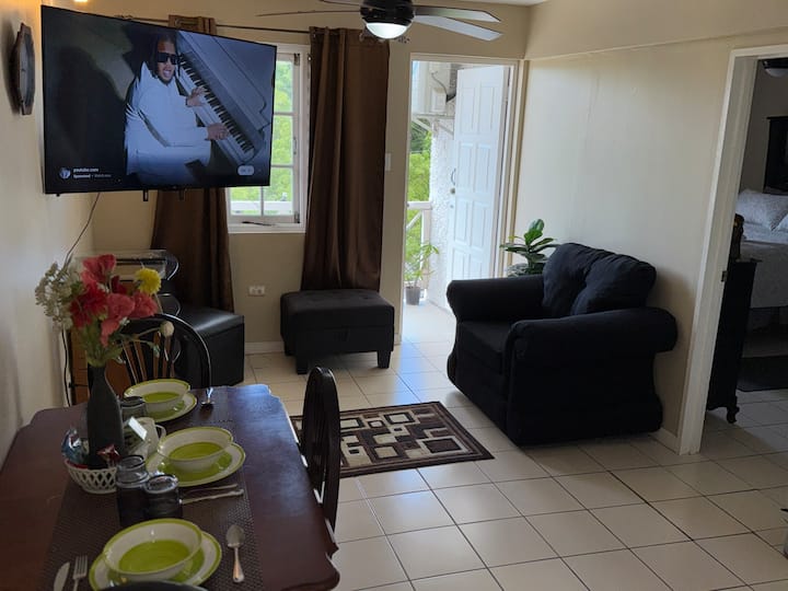 City Comfort -1br, 1bath Apt - Kingston