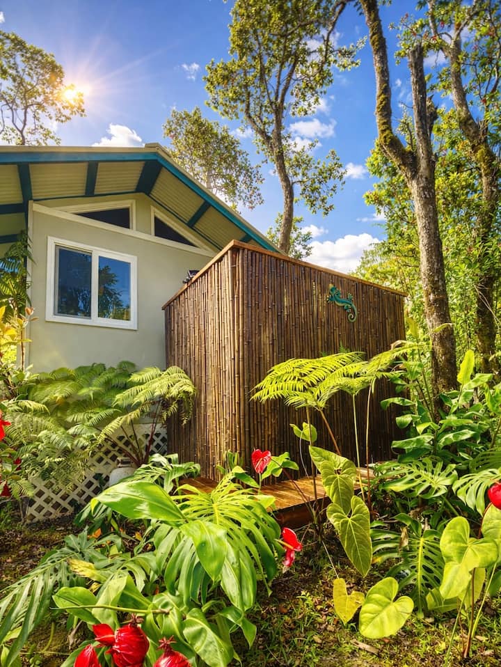 Hale Ohana- Volcano, Hi - Volcano