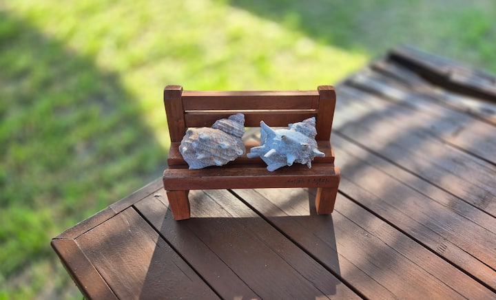 3호 제주 동쪽 세화해변 작은 숲 - Jeju-si