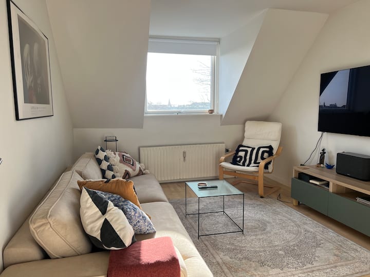 Penthouse Apartment In ØSterbro - Copenhague