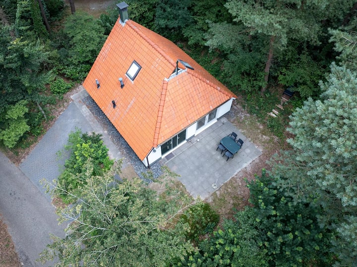 De Molshoop - Midden In Het Bos - Meppel