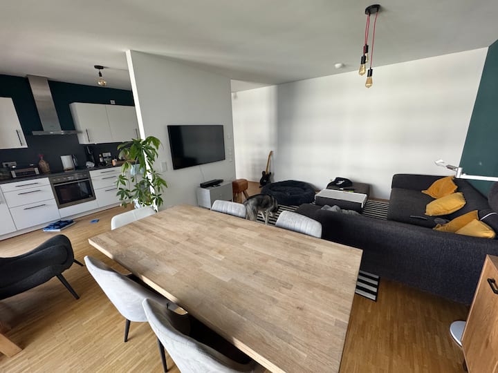 120qm Sonnenbalkon, Nockherberg - Múnich