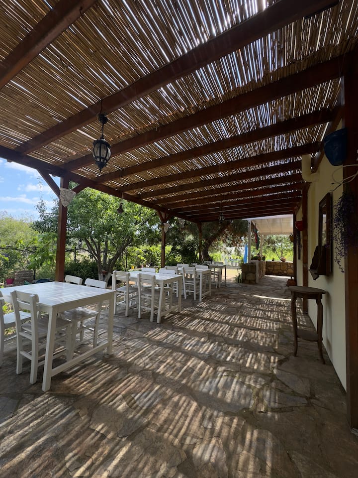 Nar Bağ Evi Bahçe Odası (4) - Bozcaada