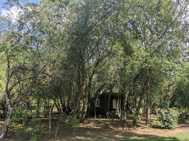 Damson Hut @ The Secret Garden - Cranbrook, UK