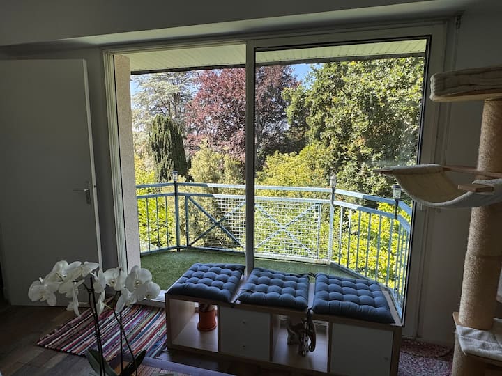 Pour Homme. Chambre Chez L’habitant. Gay Friendly - Quimper
