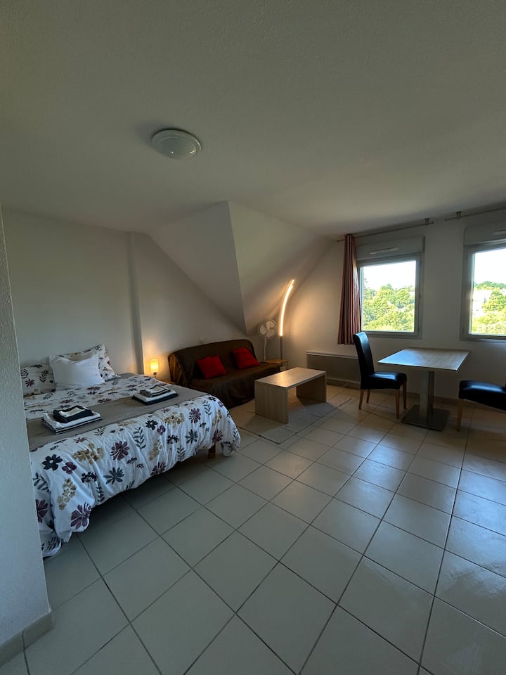 Spacieux Studio Pour 2 Personnes - Salies-de-Béarn