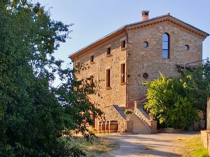Casale Torresquadrata-ulivo - Italy