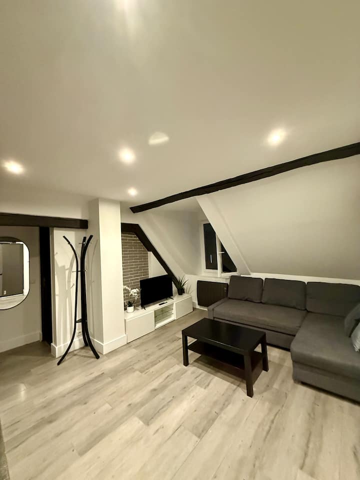 Appartement Neuf Centre-ville - Le Perreux-sur-Marne