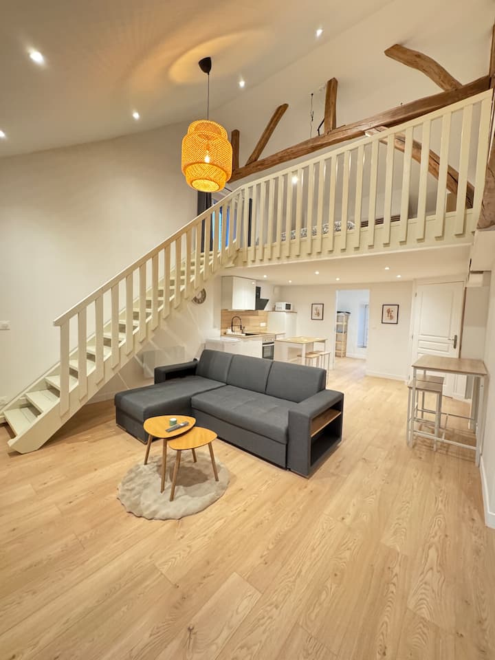 Appartement Duplex - Bar-sur-Aube