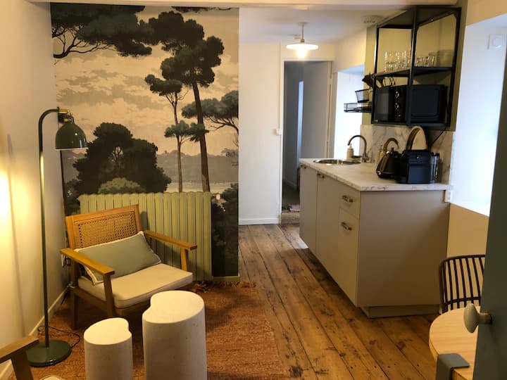 Joli Nid Cosy, Plein Centre, 7´à Pied De La Gare - Laval