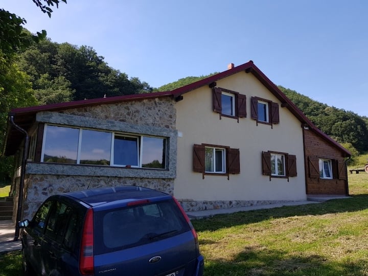 Cabana - Bozovici