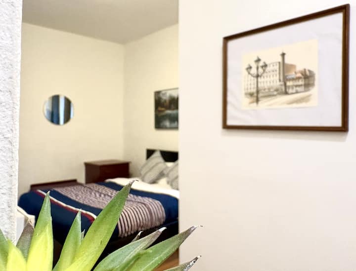 Romantic Plateau Mont-royal Escape • Studio • 1bd - Montreal