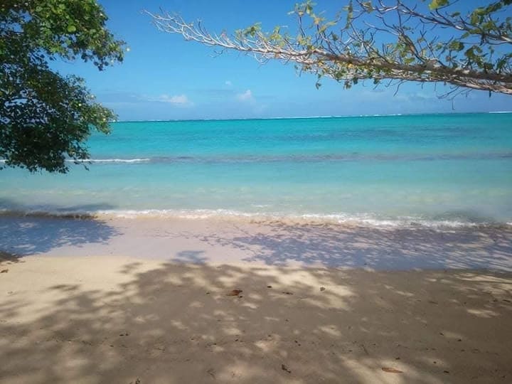 The Best Place To Be! - Samoa