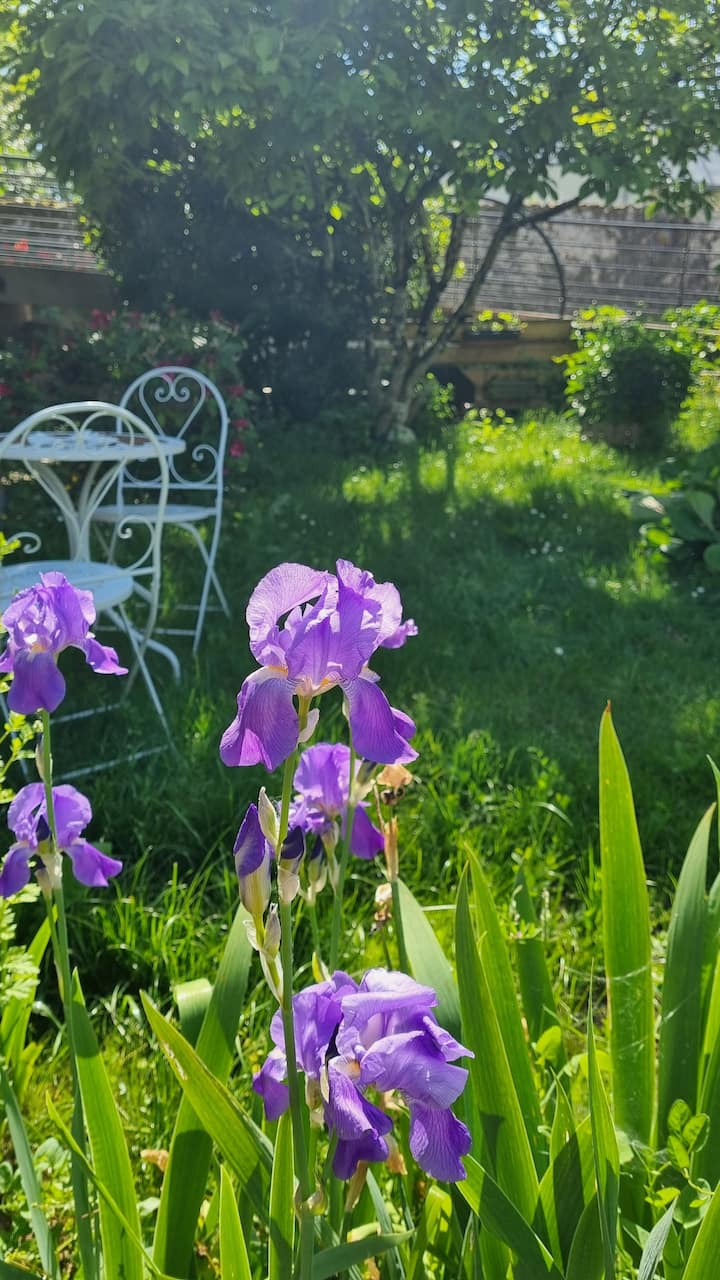"Côté Jardin" : Séjour Paisible à Saint-cyr - Fondettes