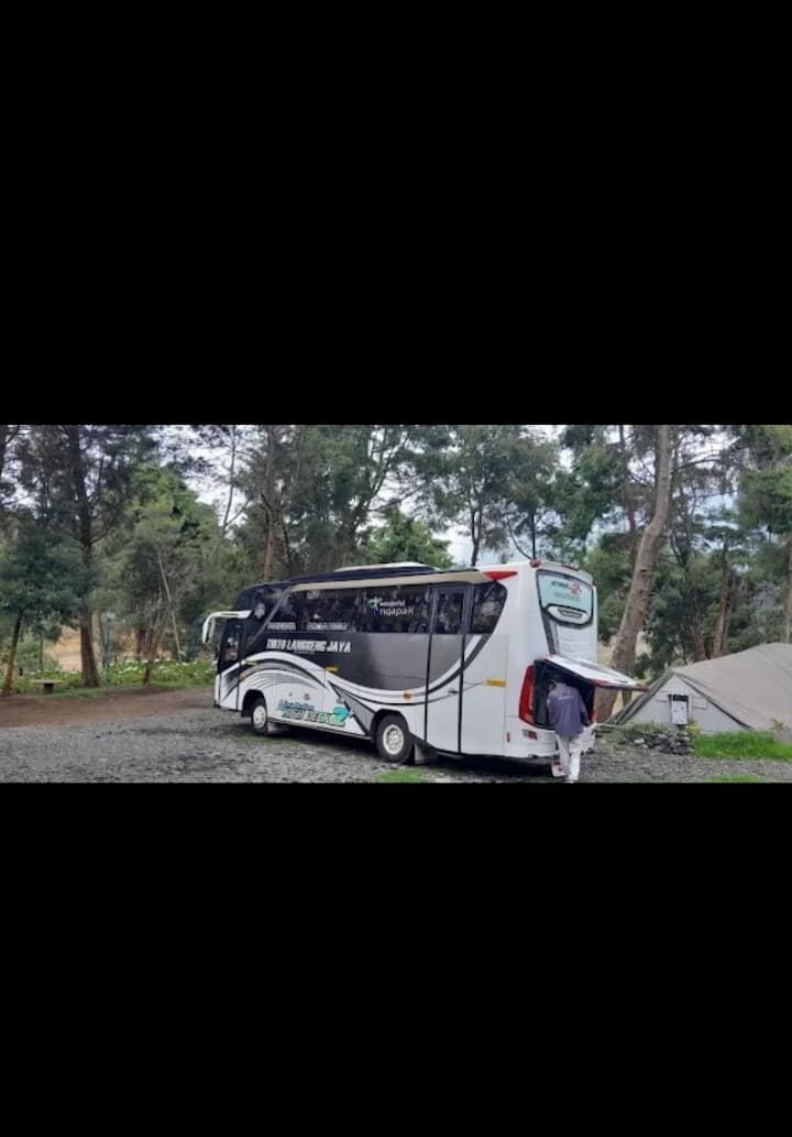Dieng Glamping Syari'ah - Dieng