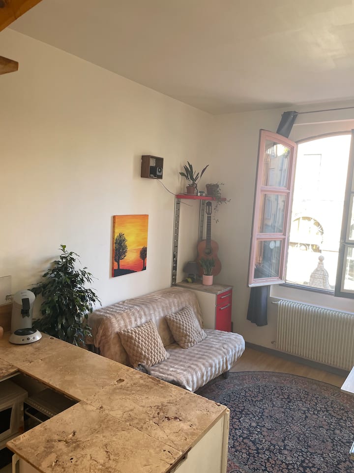 Cœur De La Ville - Le Puy-en-Velay