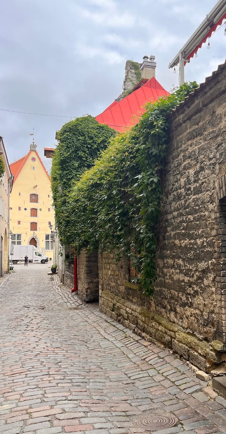 “Little Italy” Spa House With Sauna & Small Pool - Tallinn