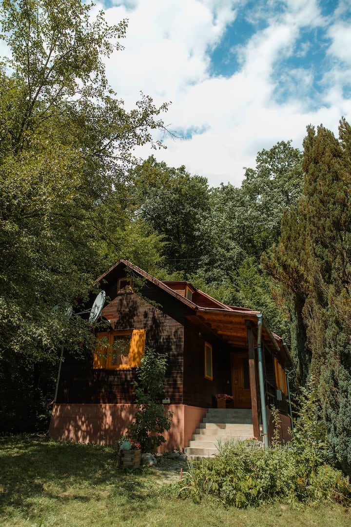 Rustic Cabin With Hot Tub! - Romania