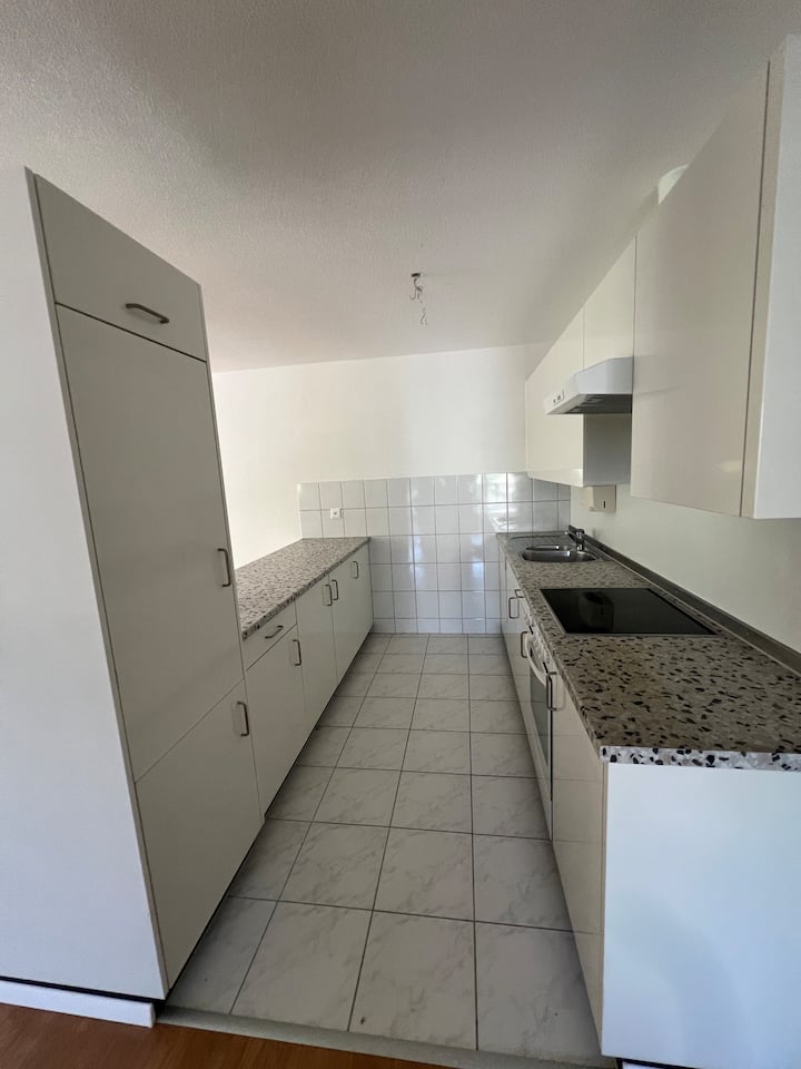New: Big Apartment In A Trendy Aerea !  (N1) - Zurich